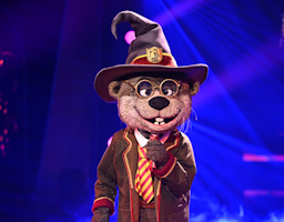 Harry Otter bei „Masked Singer“ enttarnt? Schauspiel-Star steckt im Kostüm!