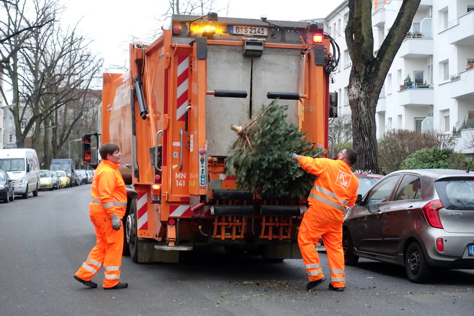 Berlin: Das sind die Abhol-Termine für die Weihnachtsbäume in den Bezirken