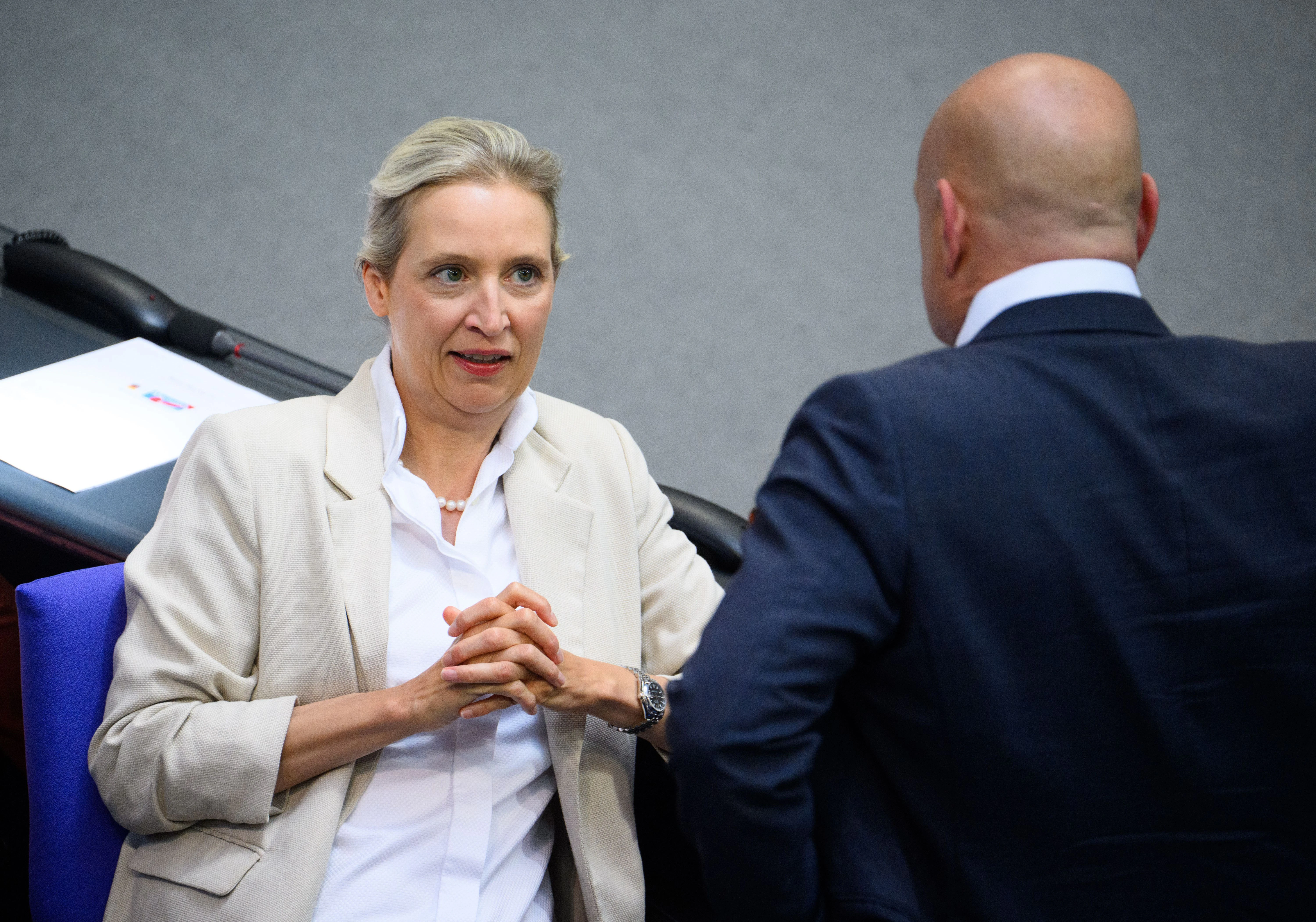 Aktuelle Umfrage: AfD erreicht neuen Rekordwert, Grüne überholen SPD