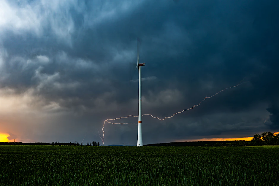 Sturm verwüstet Unstrut-Hainich-Kreis – Umgestürzte Linde beschädigt ...