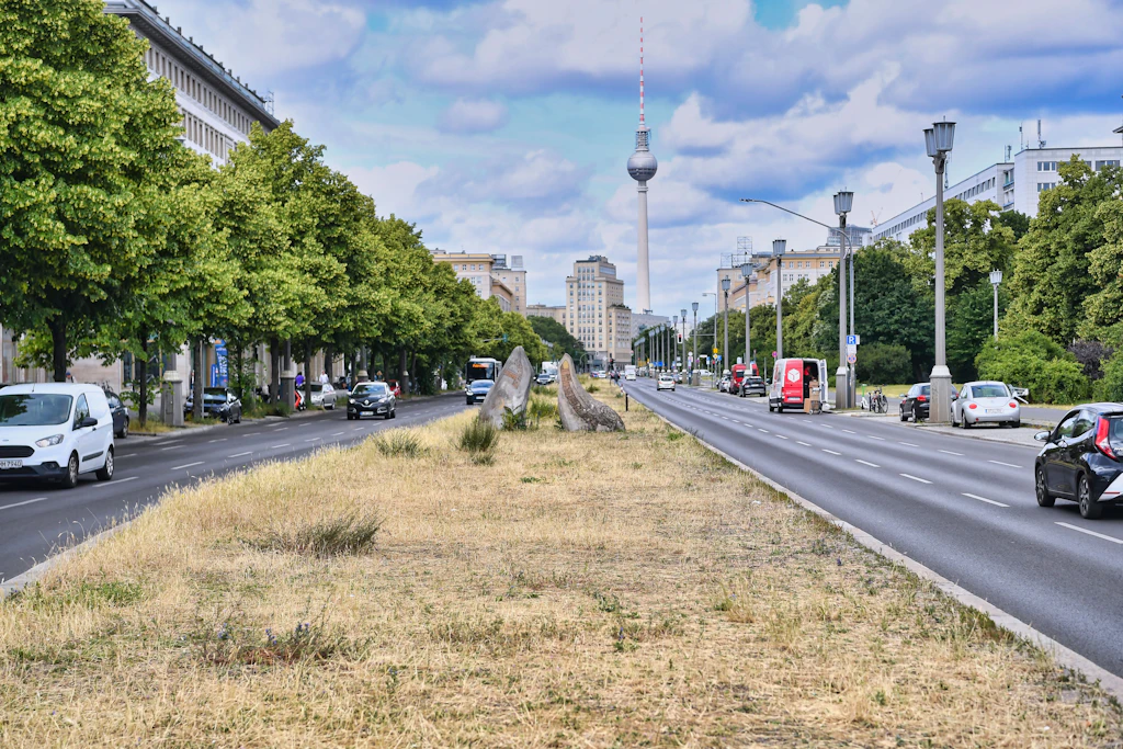 Sagt mir, wo die Blumen sind, Bezirksamt Mitte